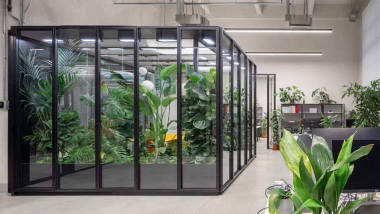 BIOFILIA E QUALITÀ DEGLI SPAZI INDOOR — Design del Prodotto industriale
